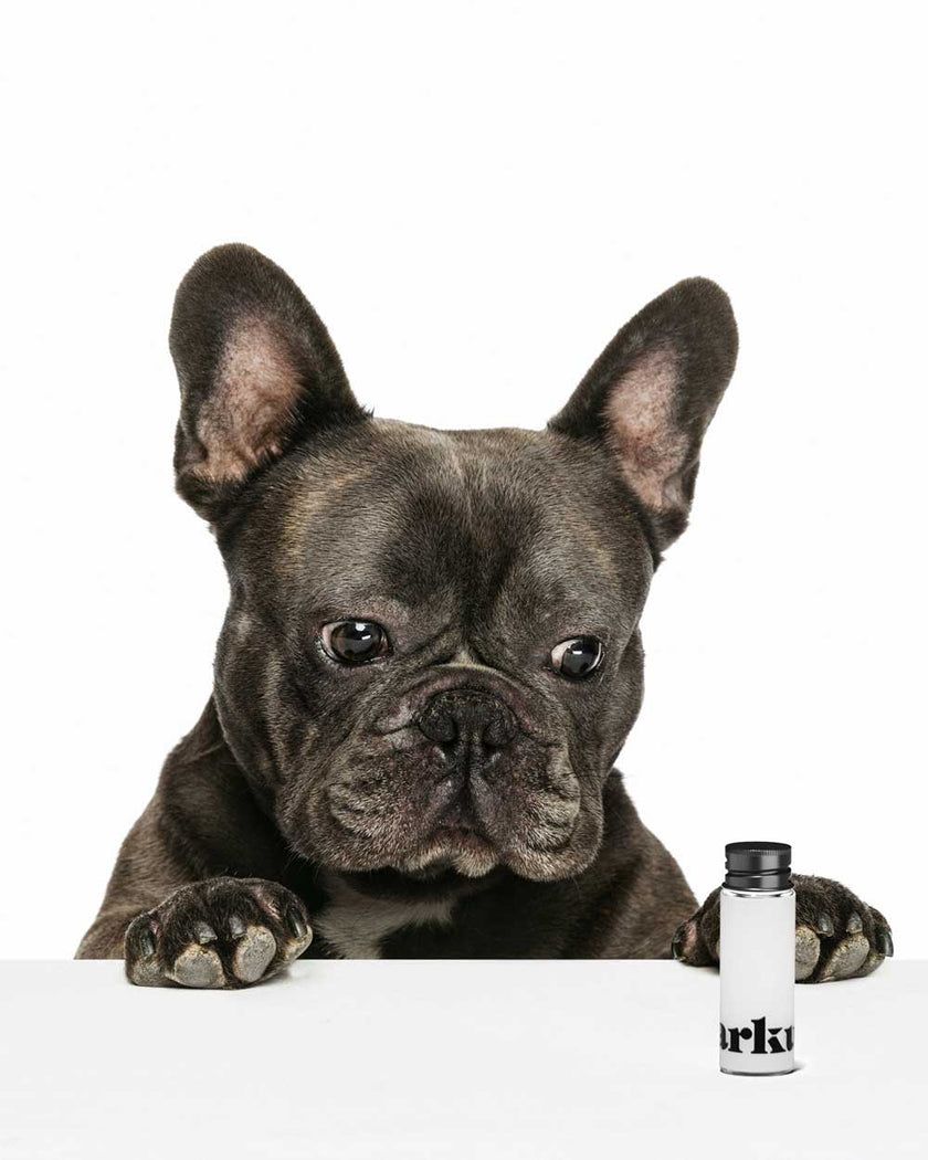 Barkus™ Products - Human Grade, Dog Approved™