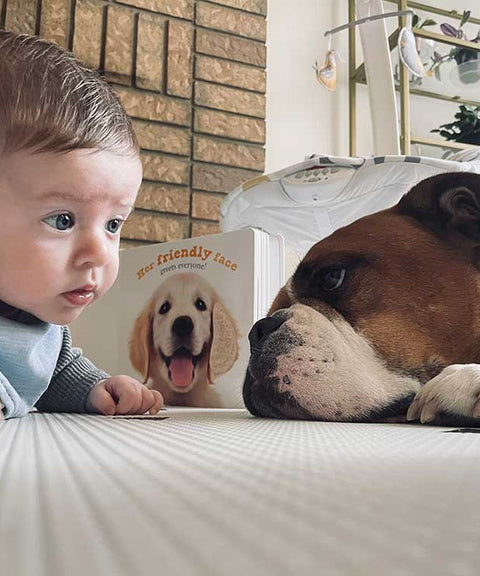 Barkus™ Products - Human Grade, Dog Approved™